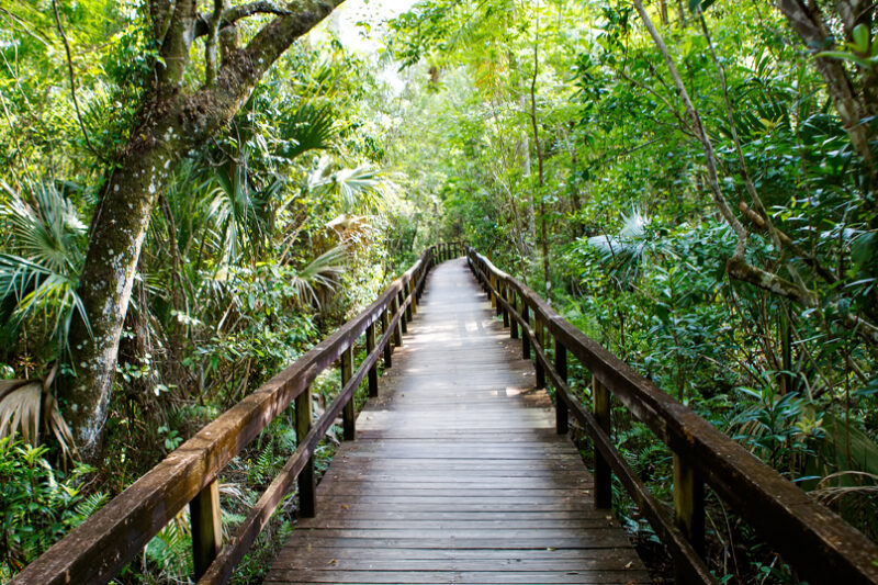 Brevard County - Brevard Cultural Alliance